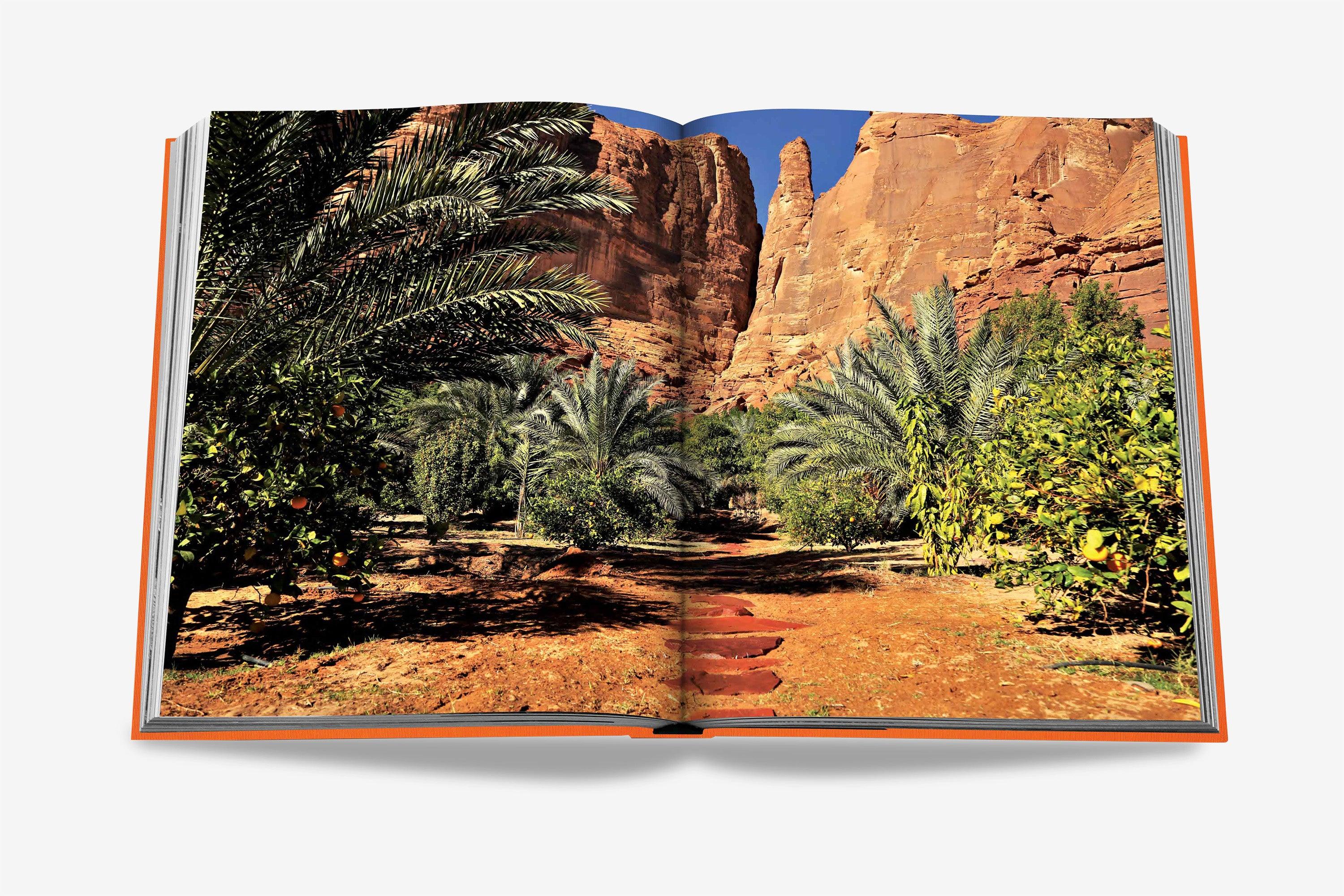 Alula Ever by Jérôme Garcin - Coffee Table Book | ASSOULINE