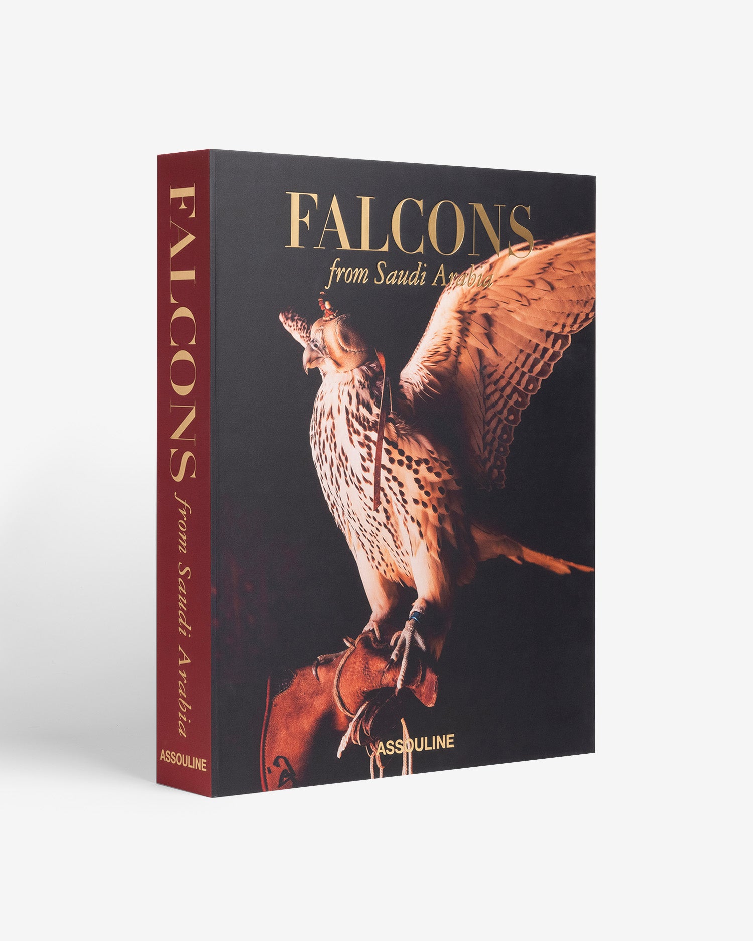Falcons from Saudi Arabia Book Coffee Table Book | ASSOULINE